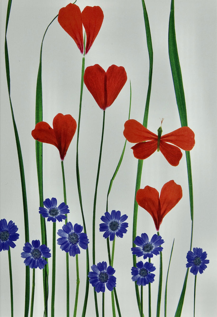 Floral greeting without text imprint – kartenparadies.at | Die ...